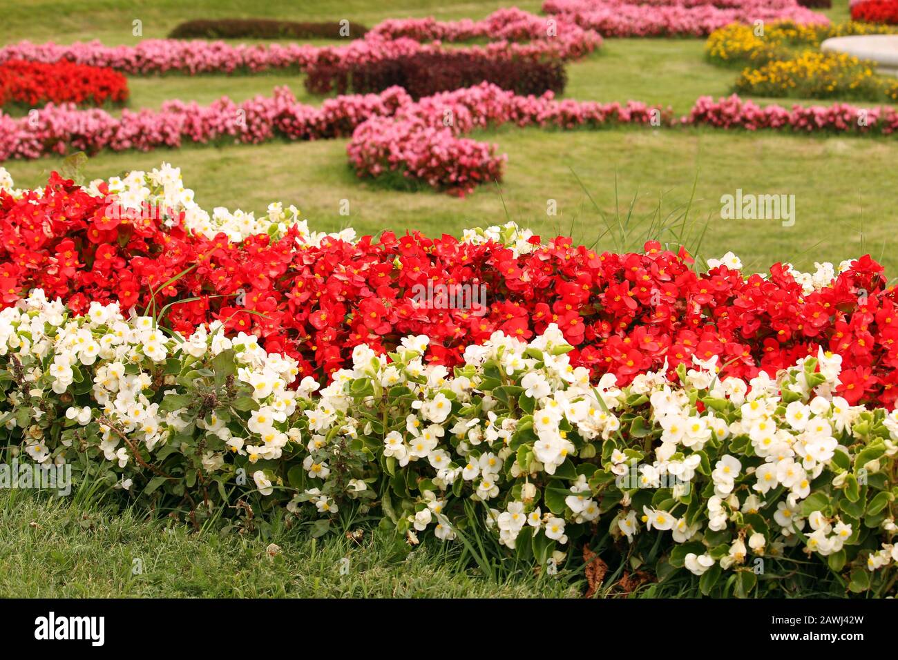 beautiful garden with different colorful flowers in spring Stock Photo ...
