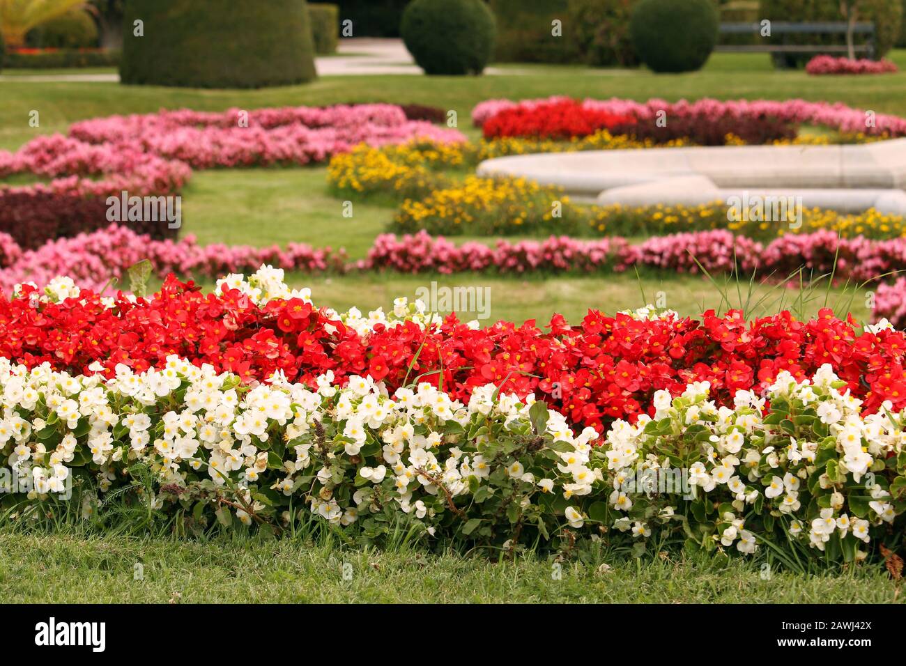 beautiful garden with different colorful flowers spring season Stock ...
