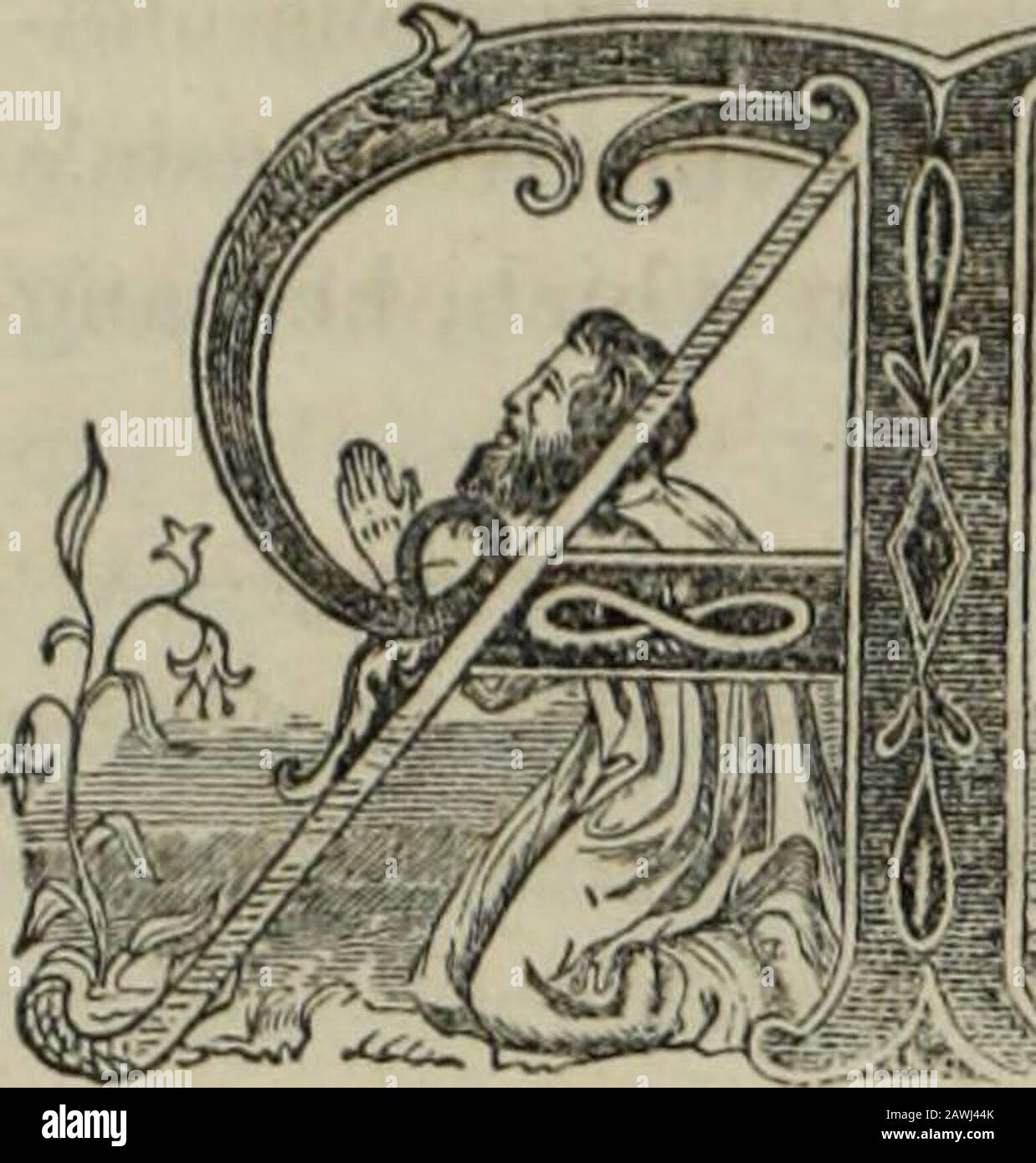 The pope's ring hi-res stock photography and images - Alamy