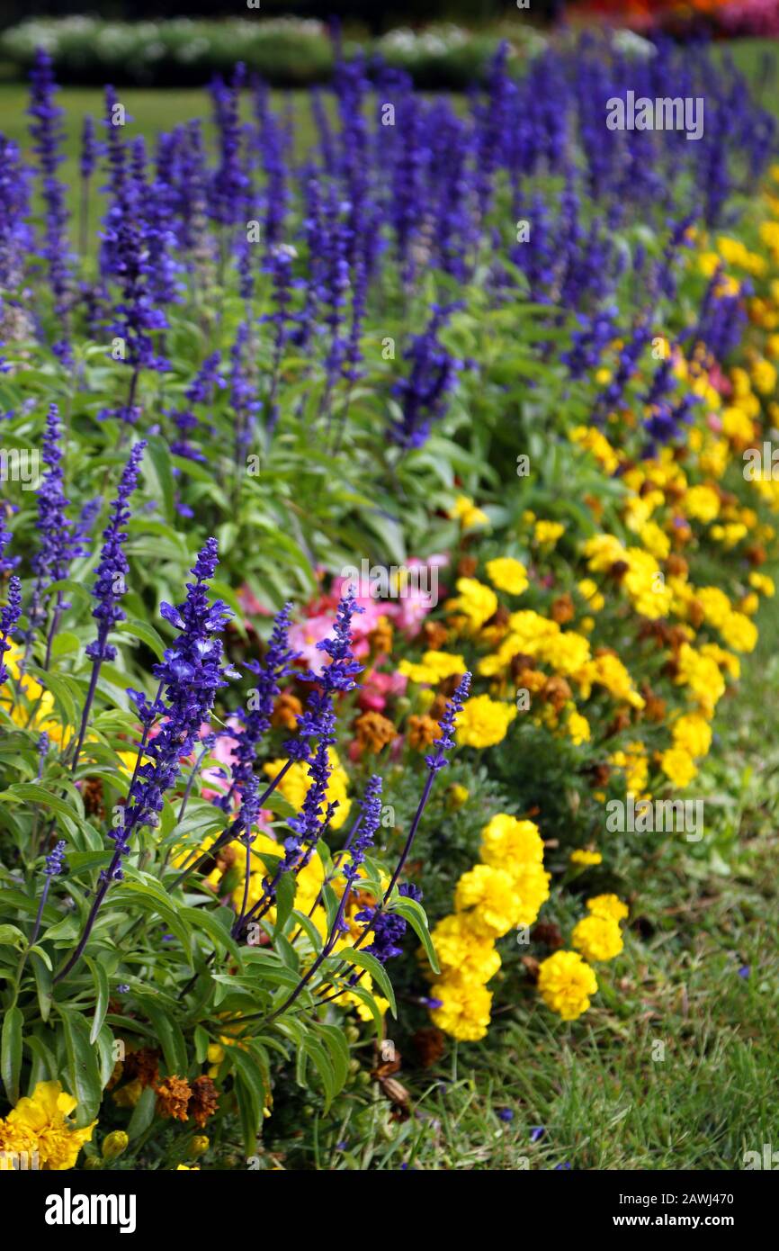 Spring season yard hi-res stock photography and images - Alamy