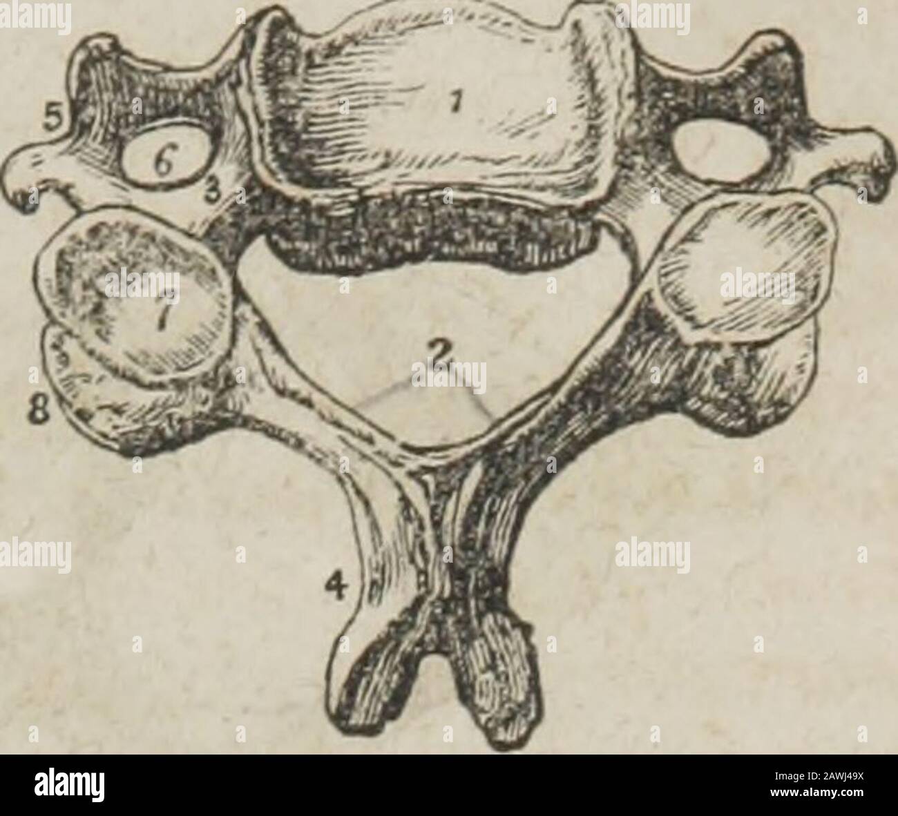 Concavities hi-res stock photography and images - Alamy