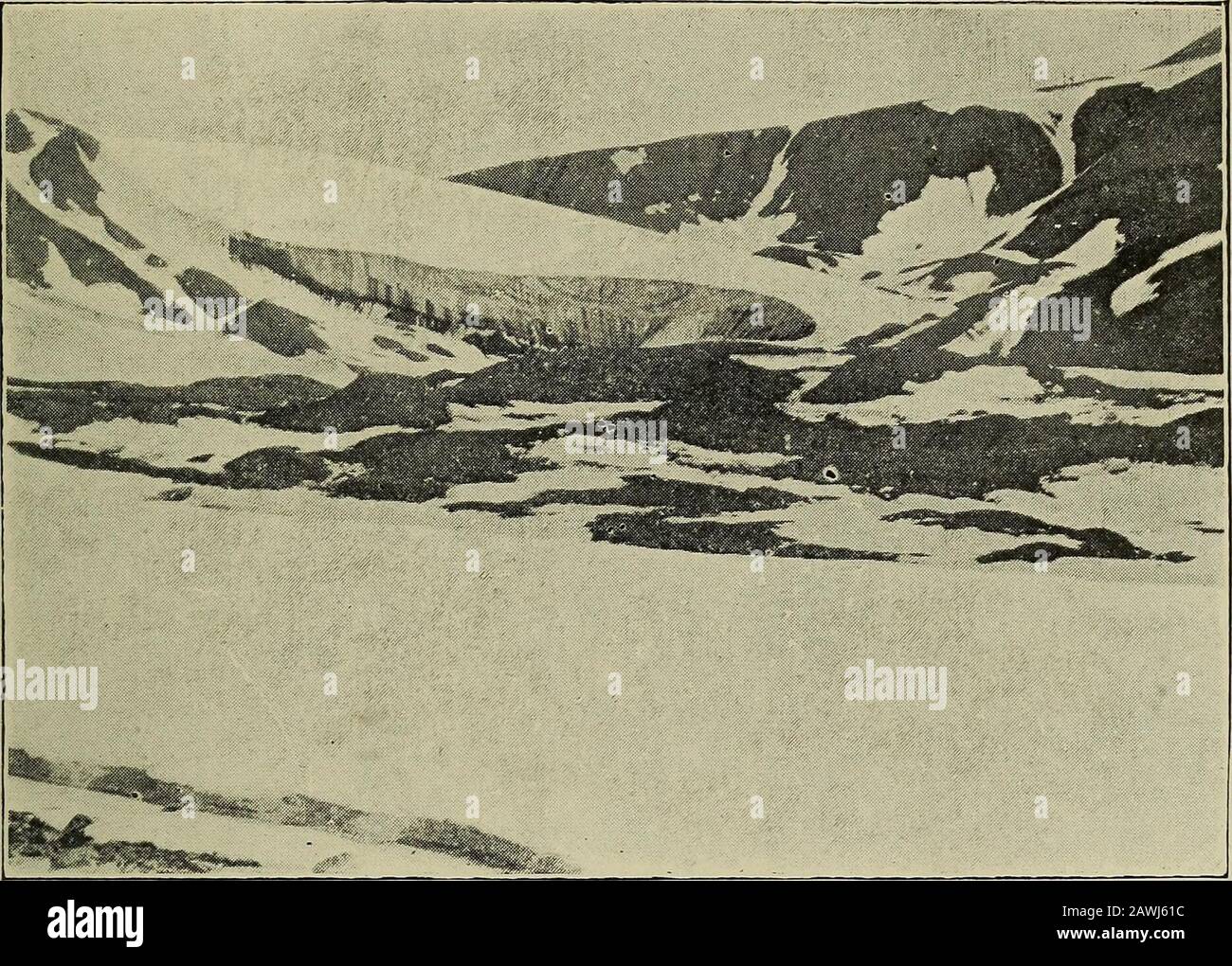 The Quarterly journal of the Geological Society of London . Quart ...