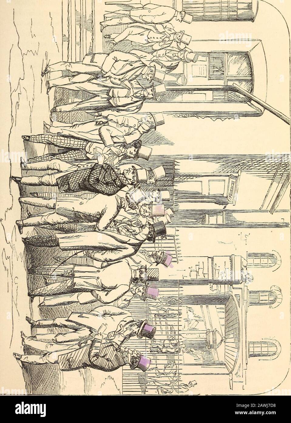 Nonchalant horse hi-res stock photography and images - Alamy