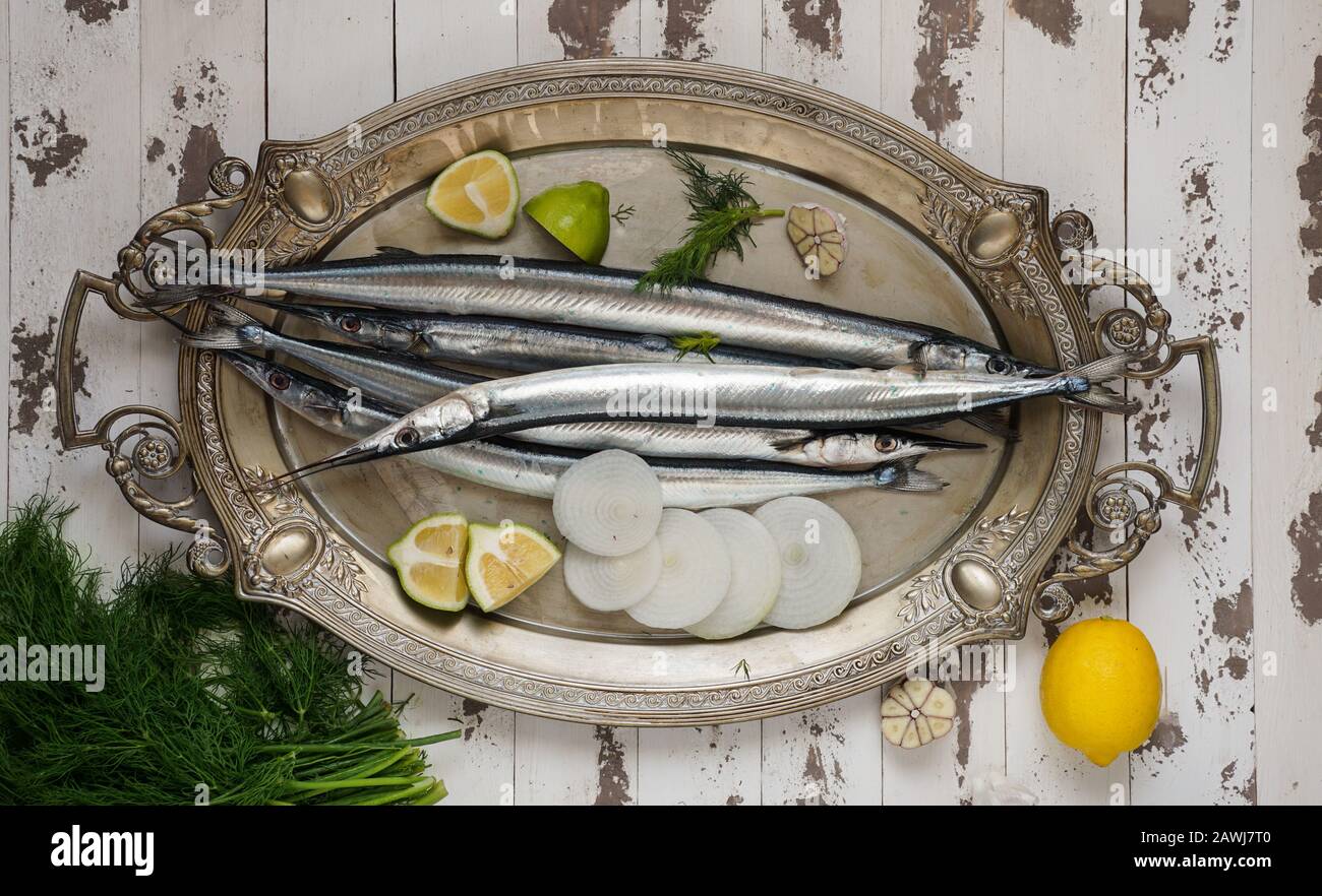 Silver Needlefish High Resolution Stock Photography and Images - Alamy