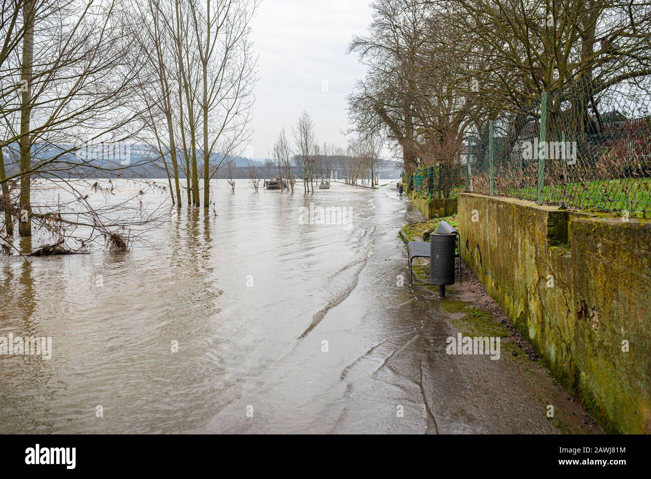 The high state of the river Rhine in western Germany, which emerged ...