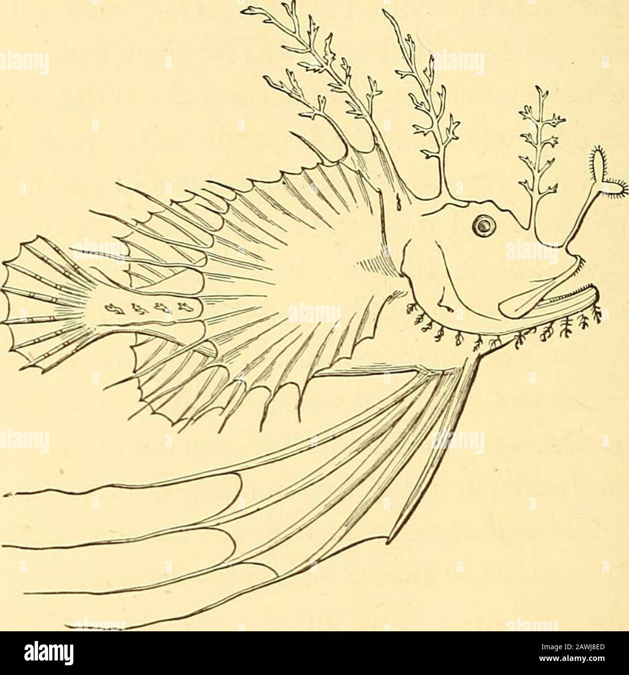 Air Pocket In Water High Resolution Stock Photography and Images - Alamy
