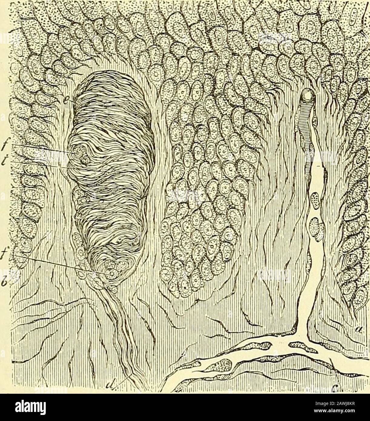 Tactile bodies hi-res stock photography and images - Alamy