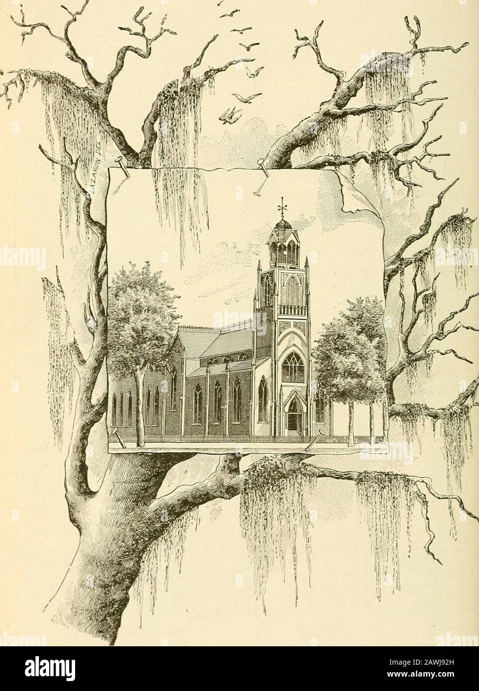 Savannah wesley monumental church hi-res stock photography and images ...