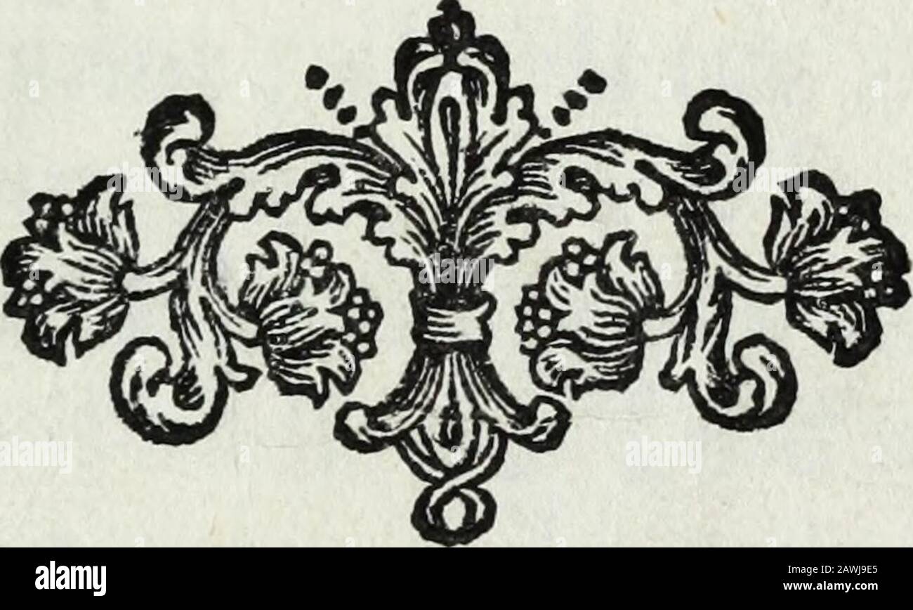 Pazzoni hi-res stock photography and images - Alamy