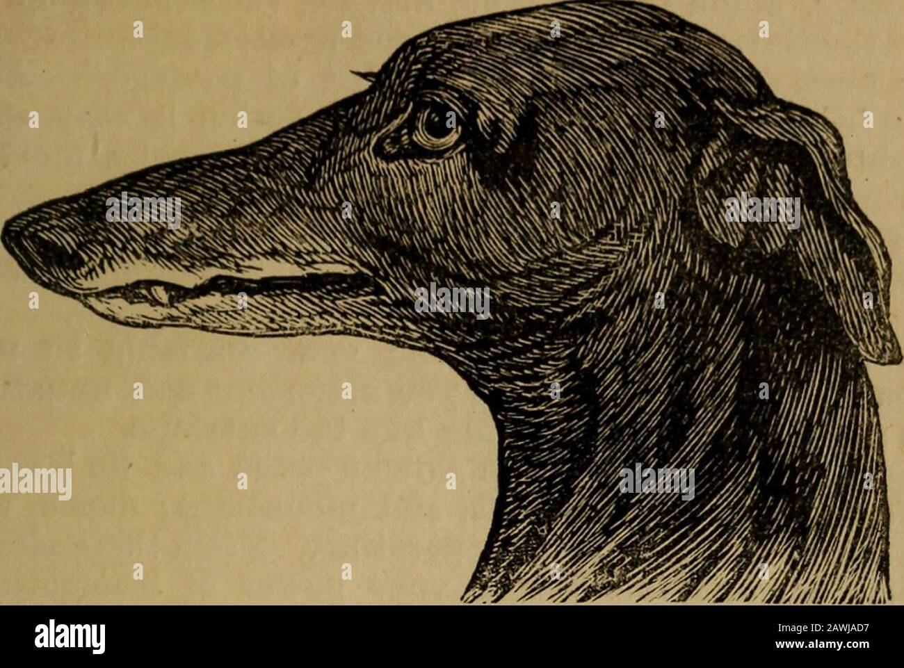 Smad place hi-res stock photography and images - Alamy