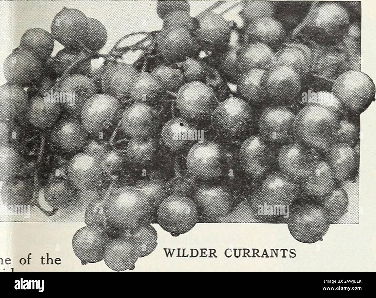 Thank you for being late hi-res stock photography and images - Alamy