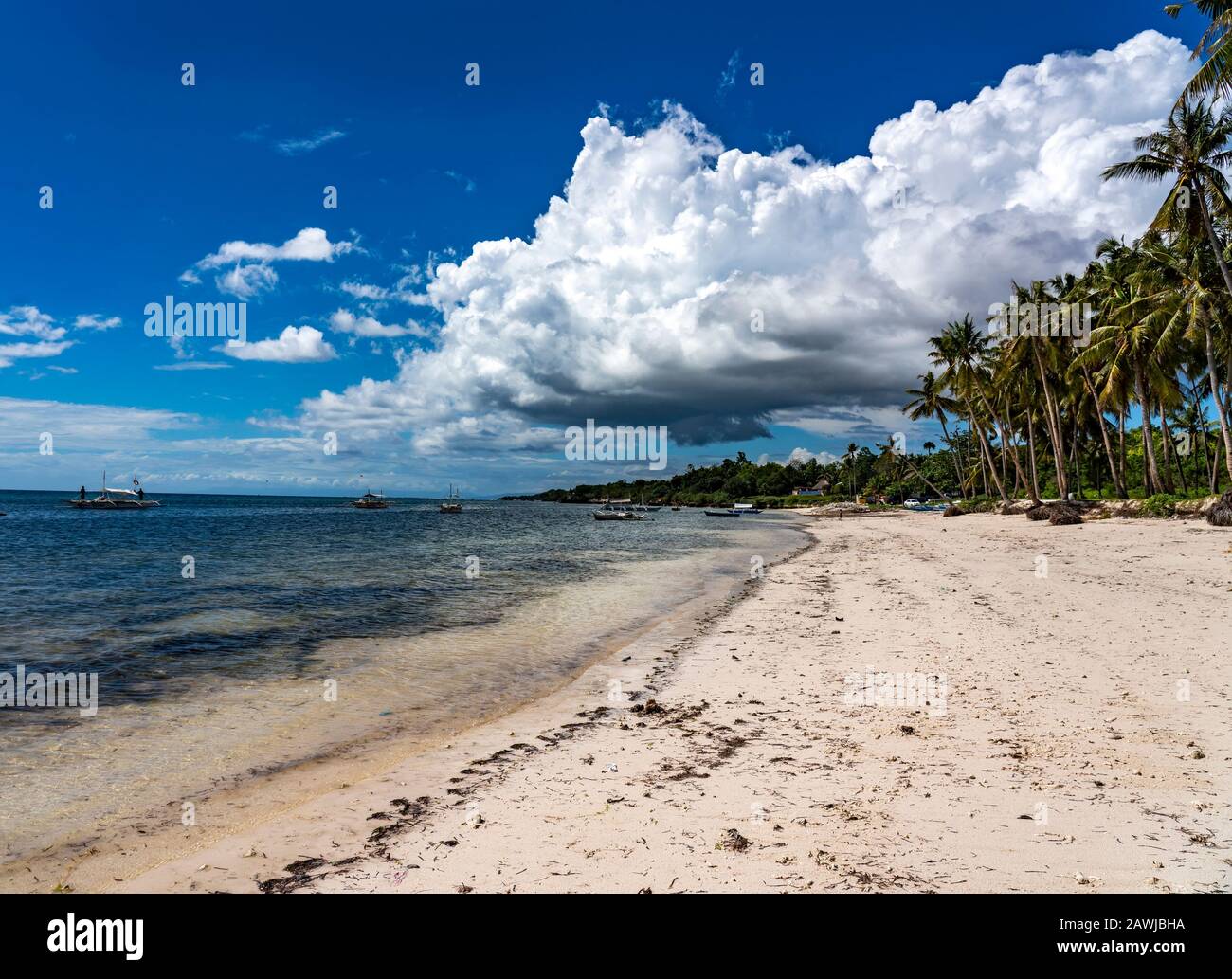 2019: White sand tropical beach of Bohol, Philiipines Stock Photo - Alamy