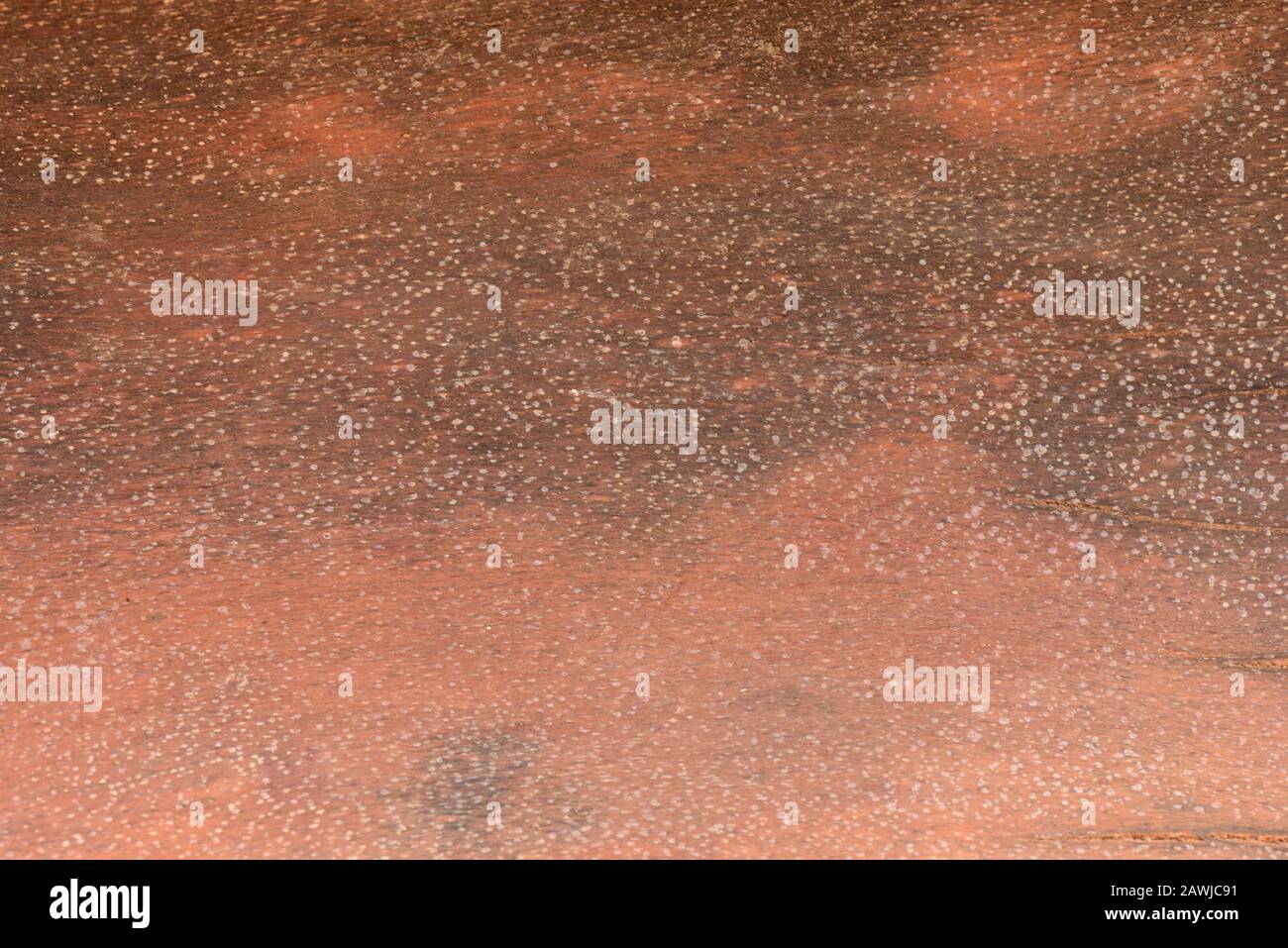 Inner texture hi-res stock photography and images - Alamy