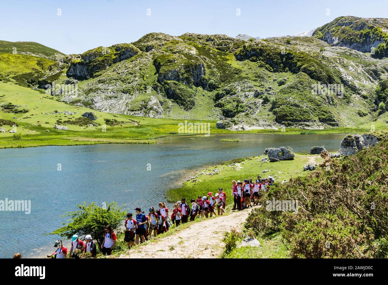 Children excursion hi-res stock photography and images - Alamy