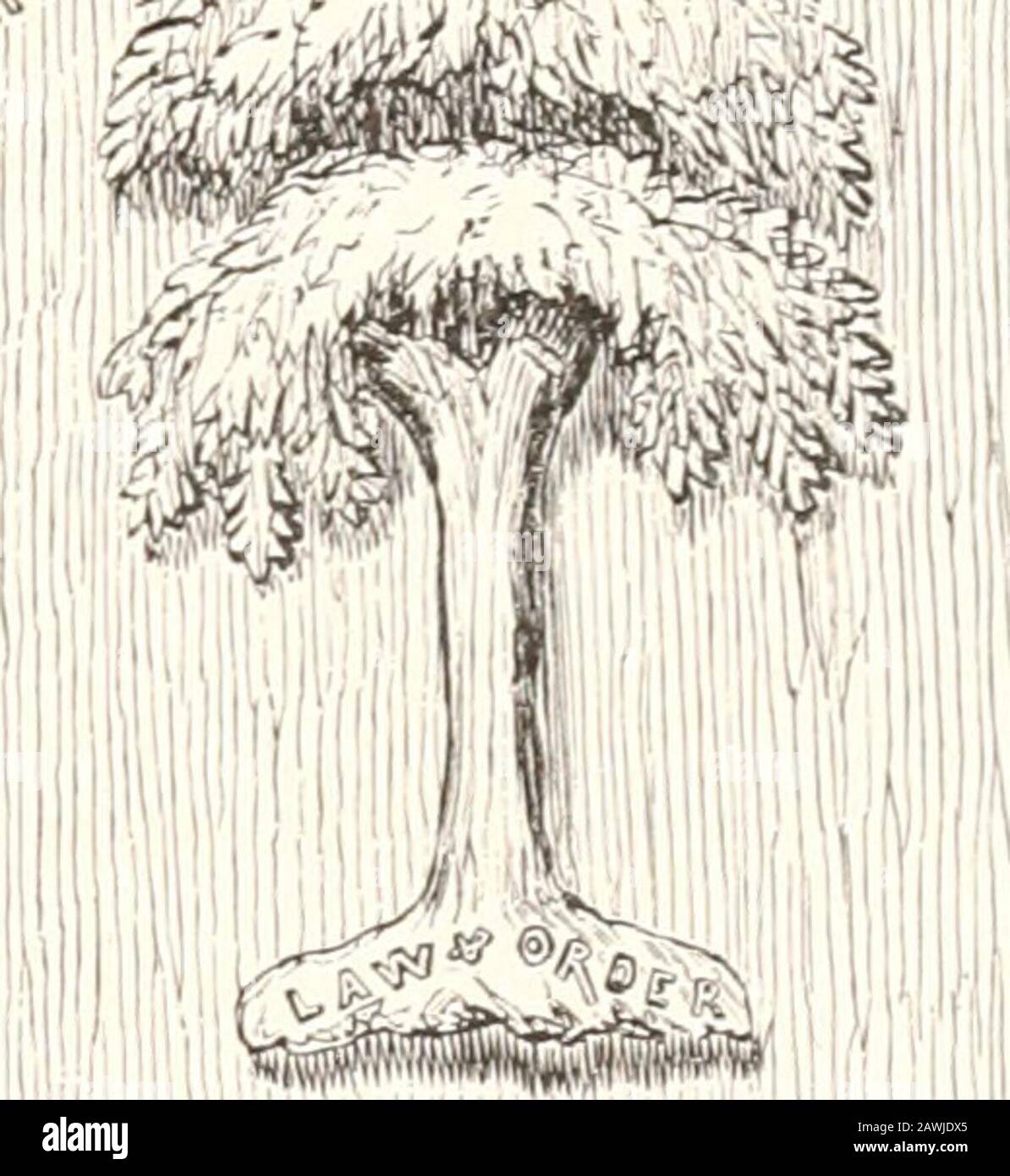 Sons Of Liberty Tree