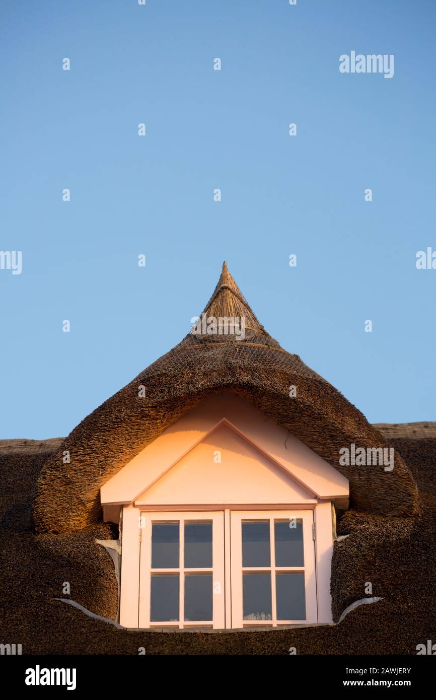 The jurassic coast fossils house hi-res stock photography and images ...