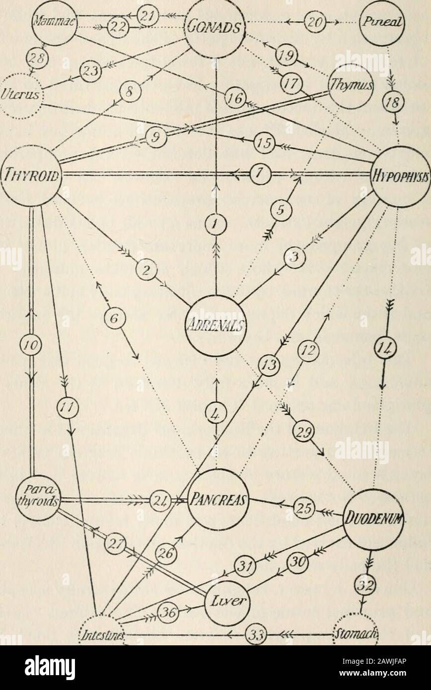 Practical hormone therapy : a manual of organotherapy for general ...