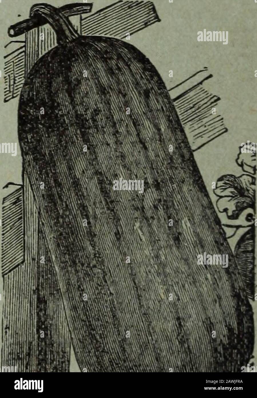 Old un uniform hi-res stock photography and images - Alamy