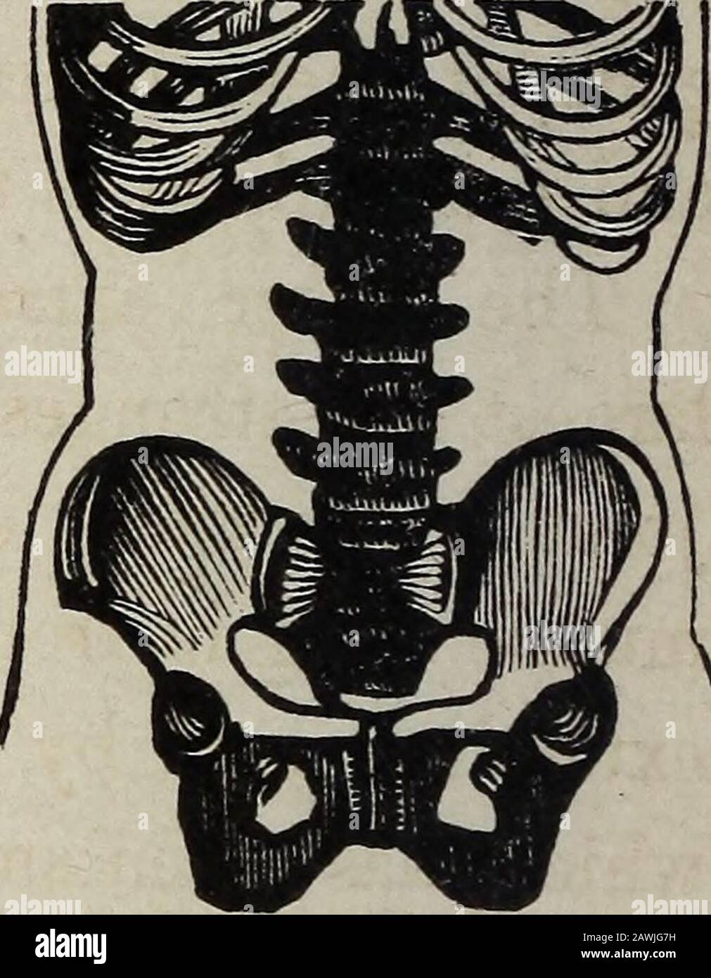 The body and its ailments: a handbook of familiar directions for care ...