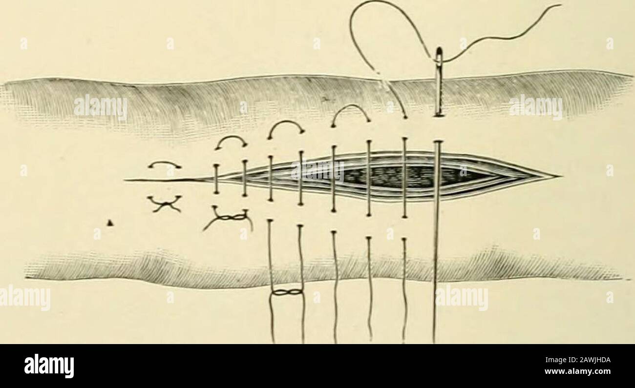 Bo 792 hi-res stock photography and images - Alamy