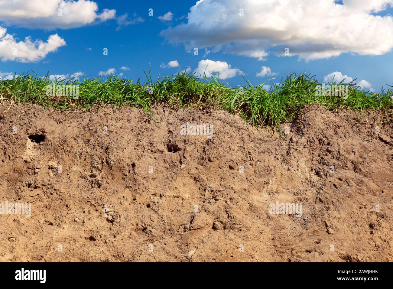 Surface soil hi-res stock photography and images - Alamy