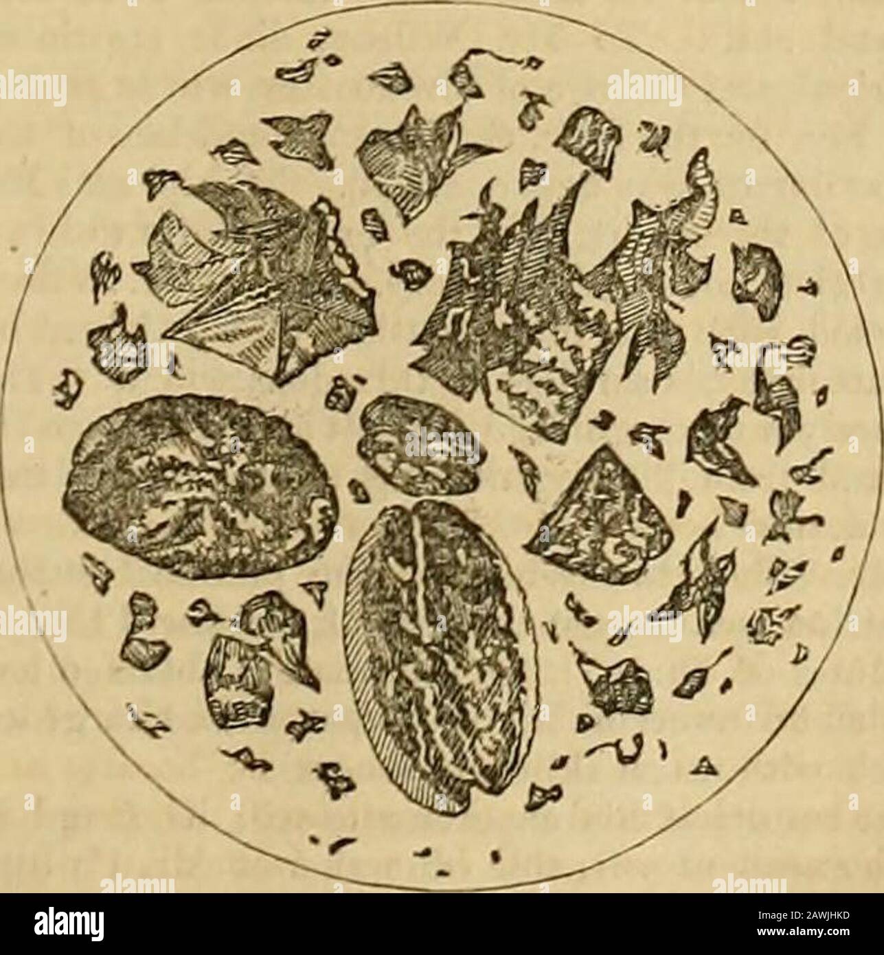 Microscopic view of paper hi-res stock photography and images - Alamy