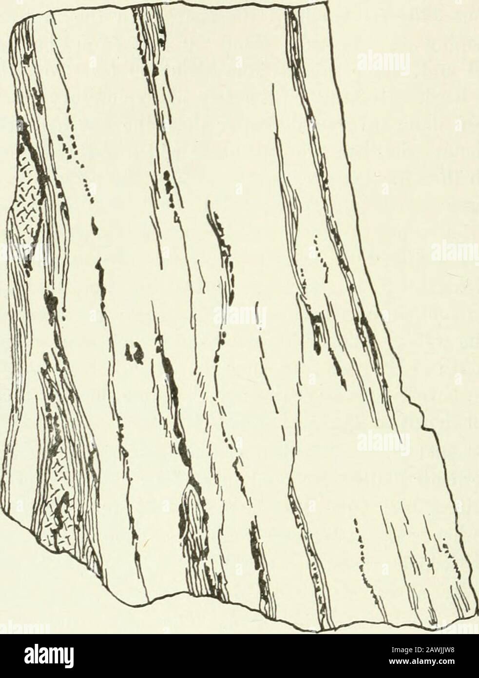 Bulletin . aft, hoisted in buckets, and dumped in a bin about 20 feet ...