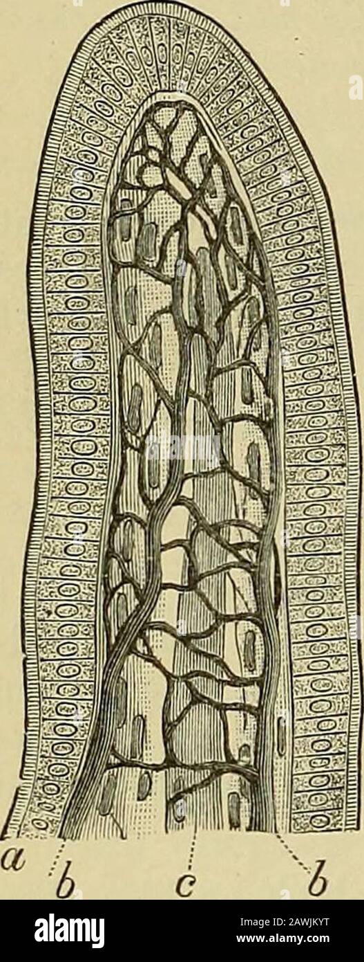 Physiology : a manual for students and practitioners . chyle ...