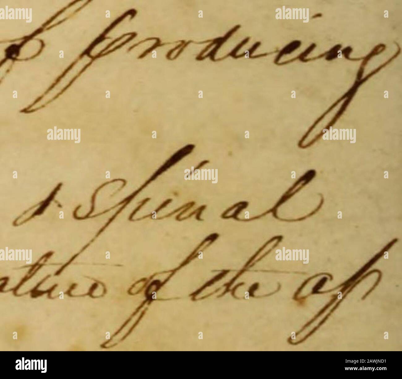 Aeve hi-res stock photography and images - Alamy