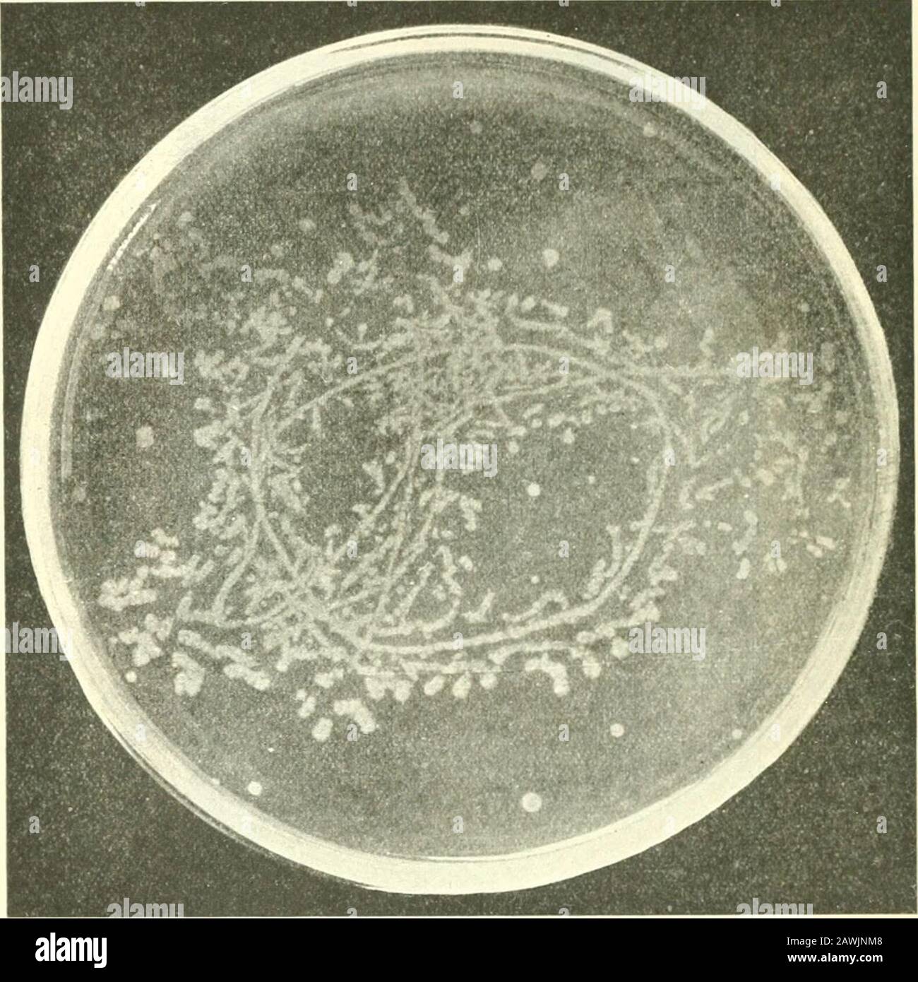 Laboratoiy hi-res stock photography and images - Alamy