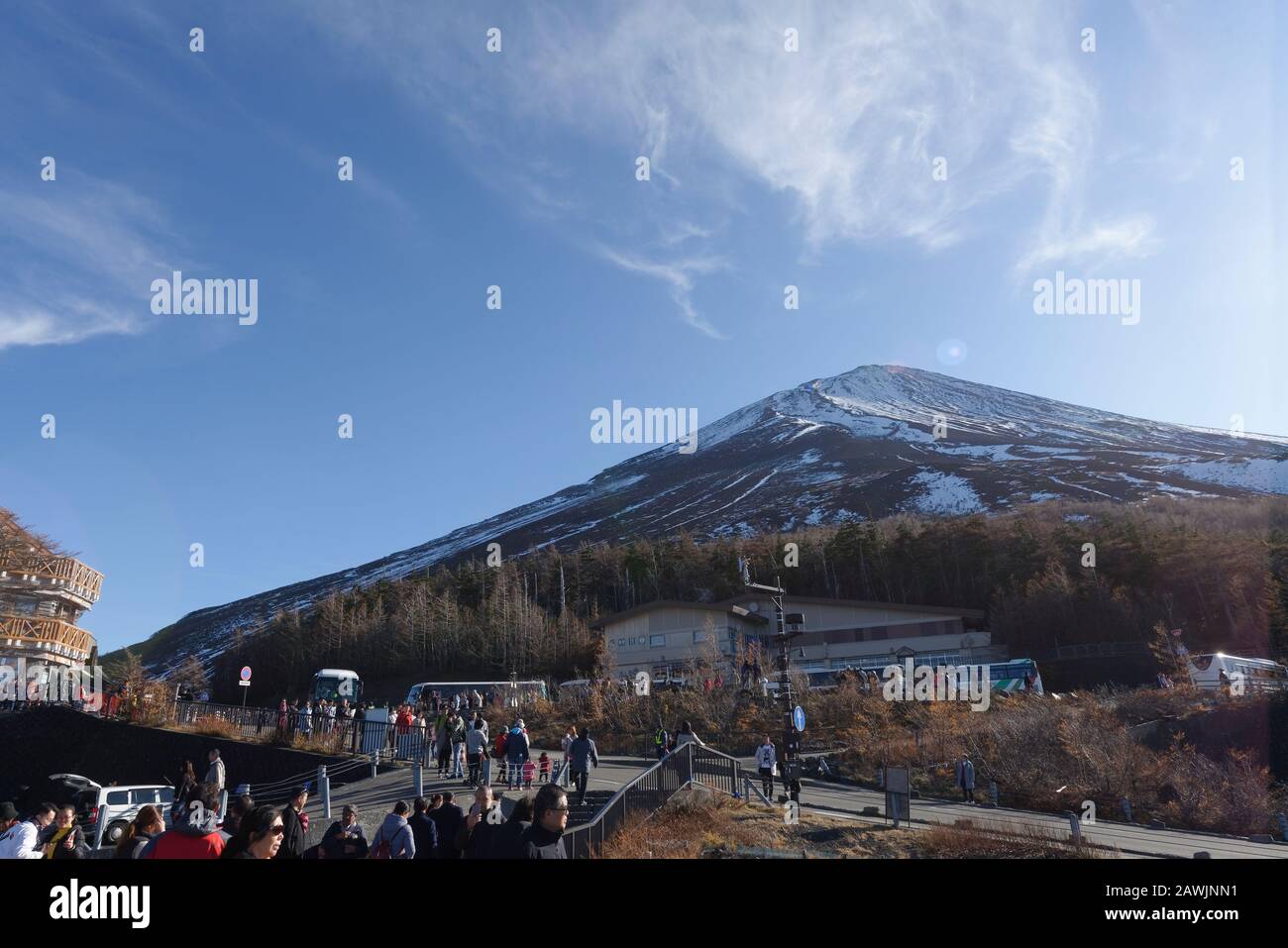 Kitayama tree hi-res stock photography and images - Alamy