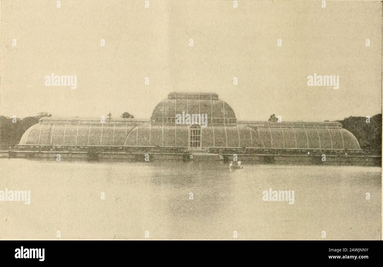 GuilHenrde Vriese Protrepticus ad commilitones, Athenaei Illustris ...