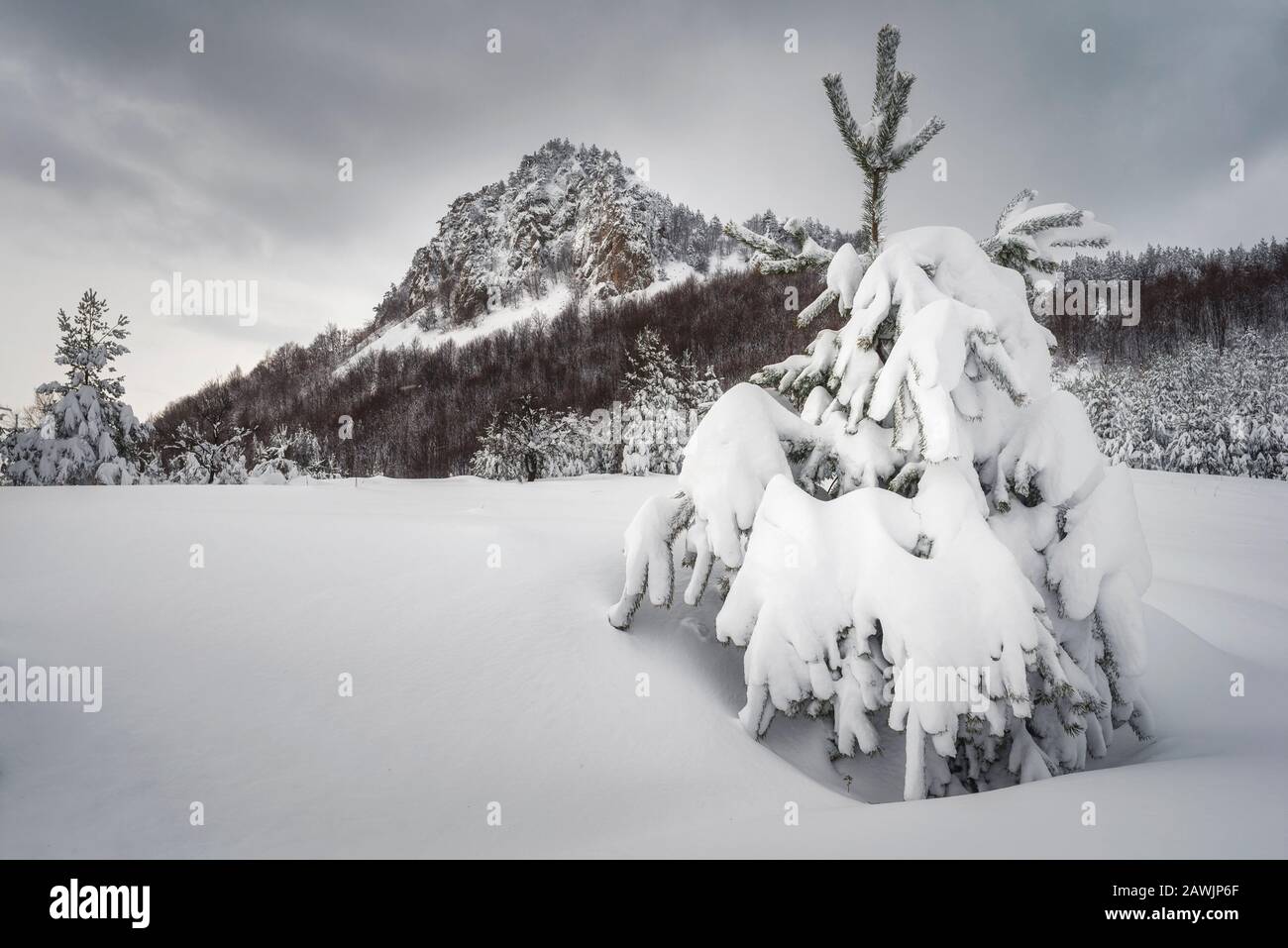 Fantastic snow scene hi-res stock photography and images - Alamy