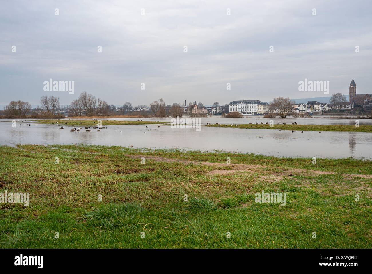 The high state of the Rhine in western Germany, water has risen from ...