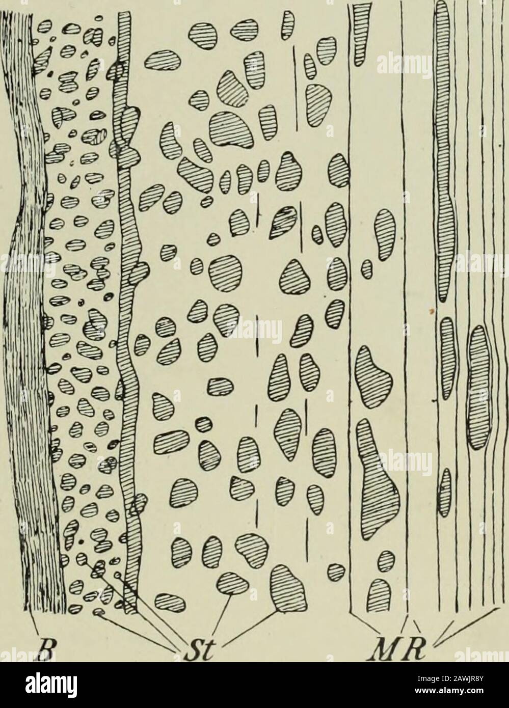 Street Cross Section Vs Longitudinal Section