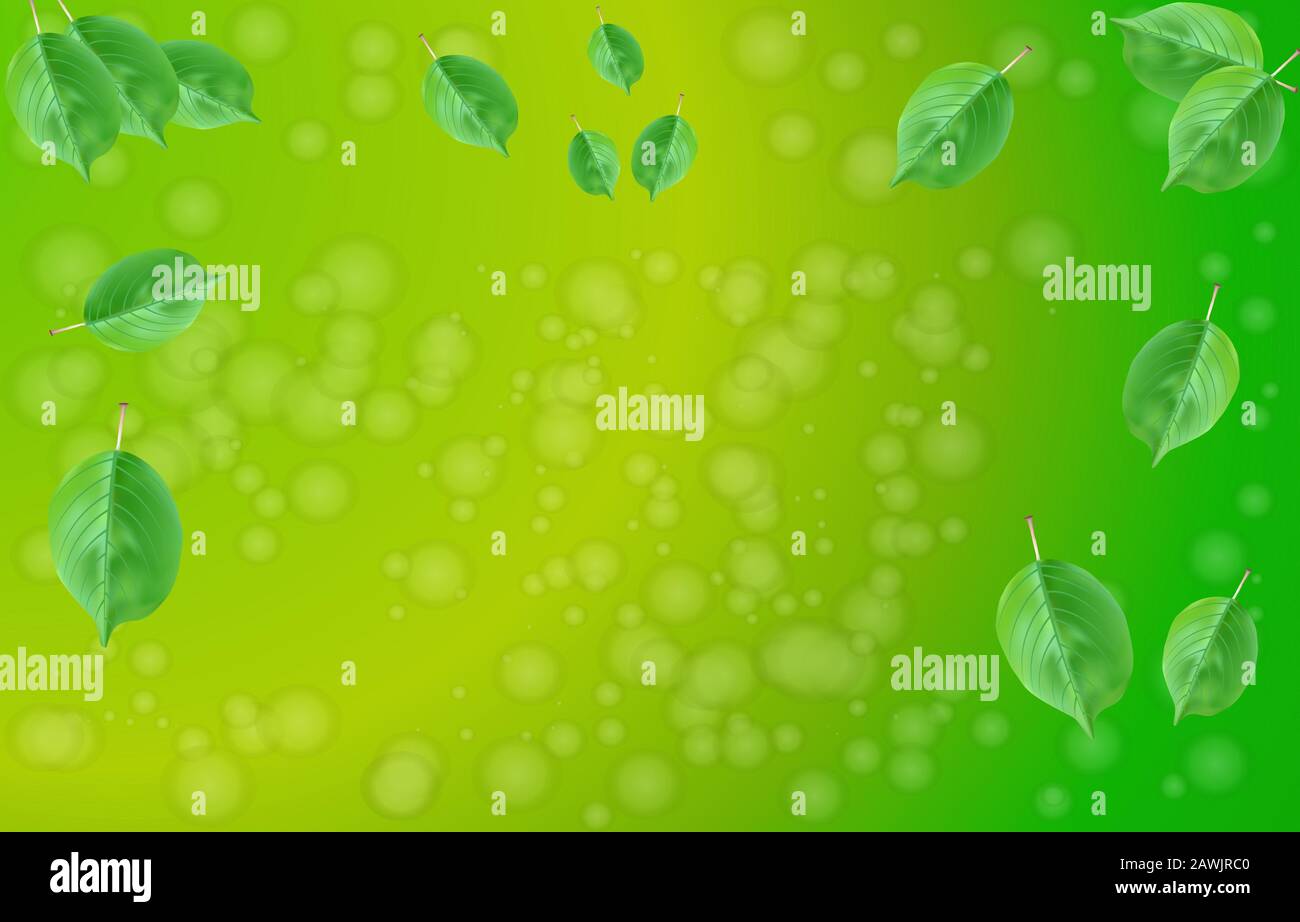Abstract eco backgrounds for your design Stock Vector Images - Alamy