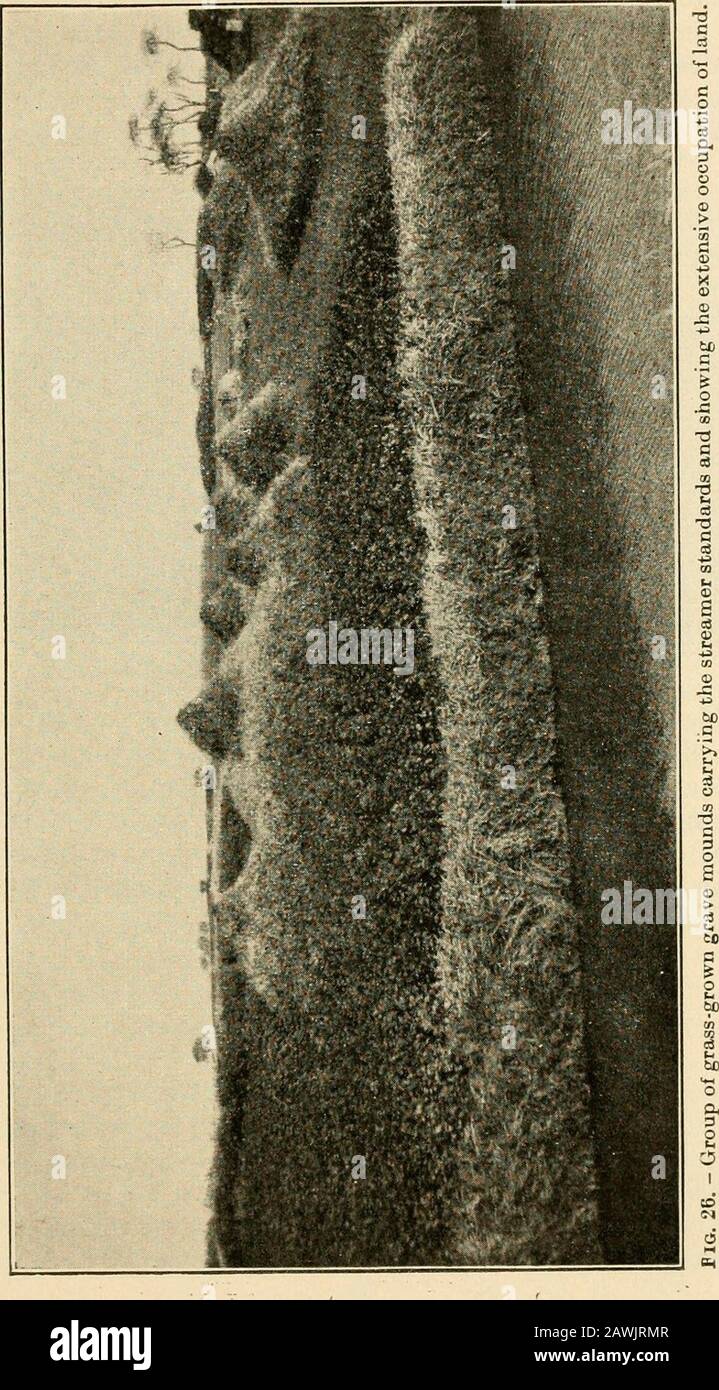 Underfed hi-res stock photography and images - Alamy