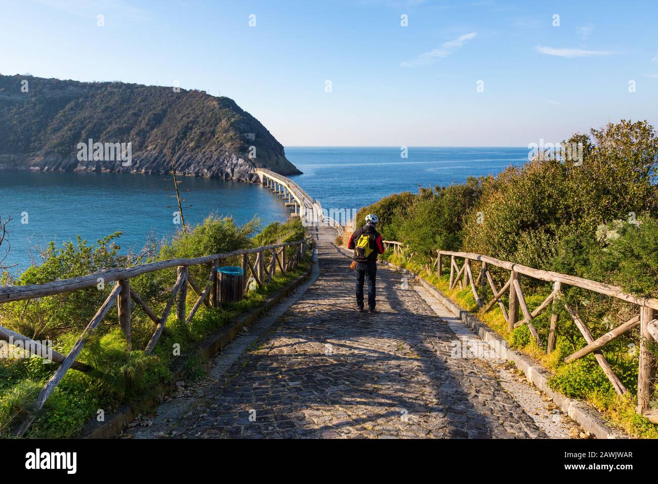 Procida (Italy) - Vivara Island, a nature reserve and protected oasis ...