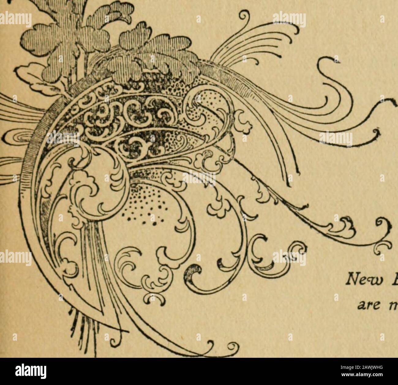 Torrey and Alexander : the story of their lives . CATALOGUE . OF ...