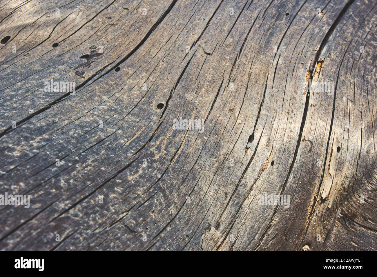 Old weathered tree trunk log texture wood background Stock Photo - Alamy