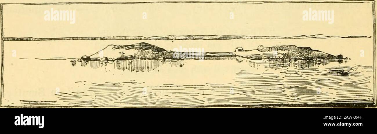 Ague tree hi-res stock photography and images - Alamy