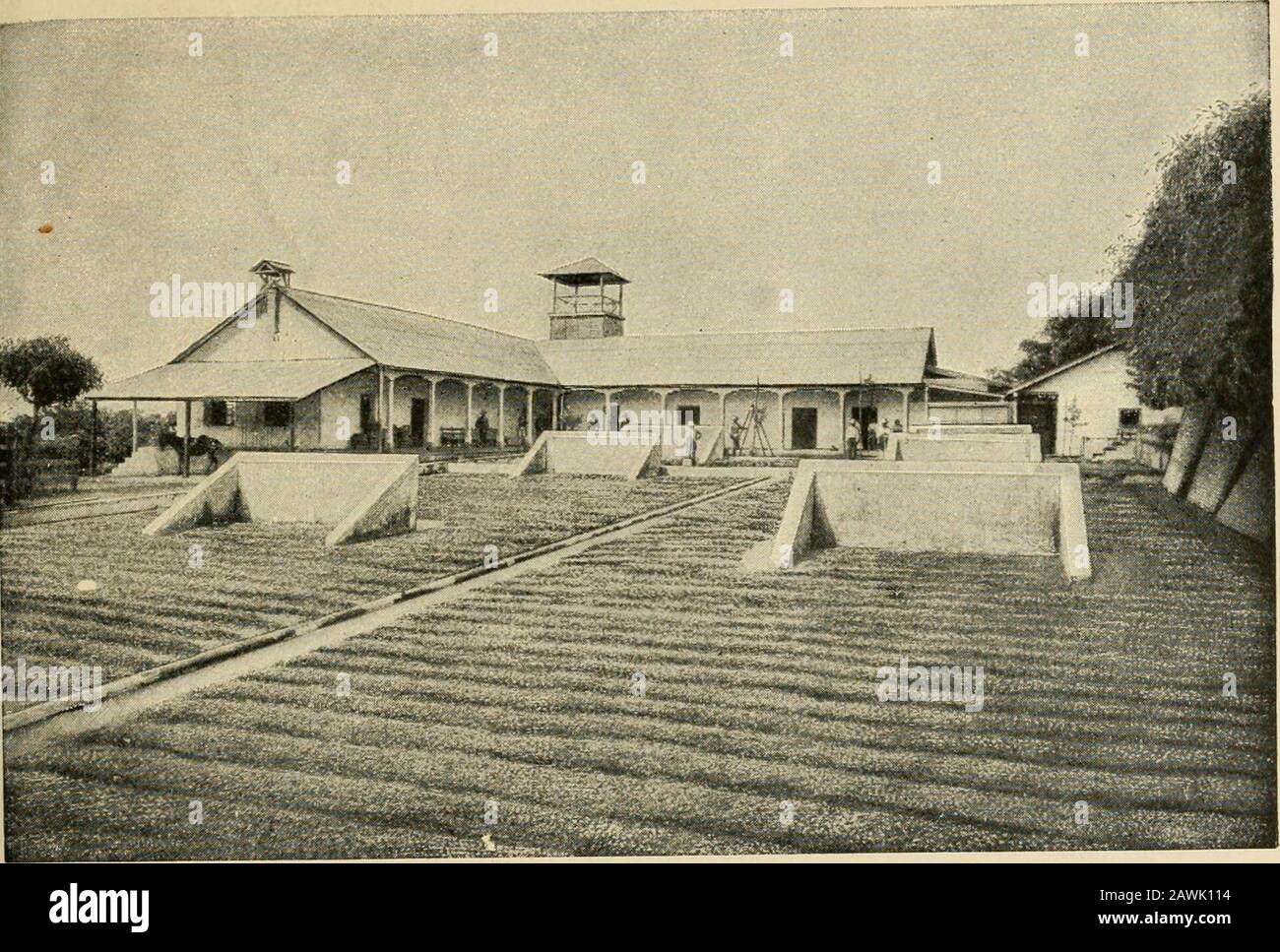 Chase & Sanborn. . Curing Coffee. LfE who sells that which is best of ...