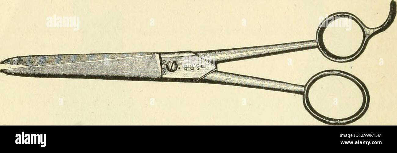 The manual on barbering, hairdressing, manicuring, facial massage ...