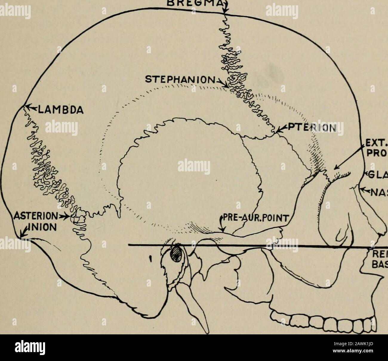 Operative surgery, for students and practitioners . reafter. An ...