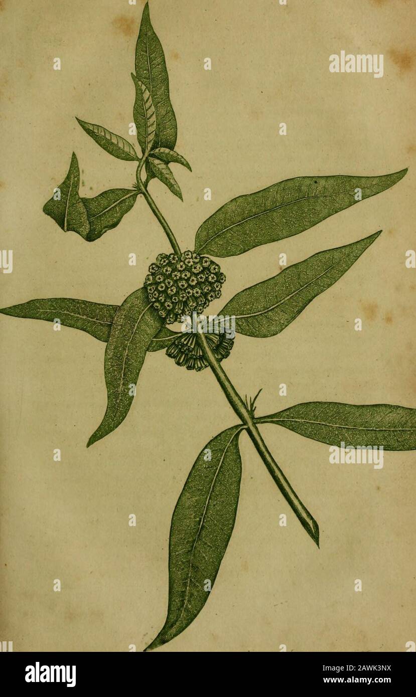 The American journal of science, & c . Specif c character of the ...