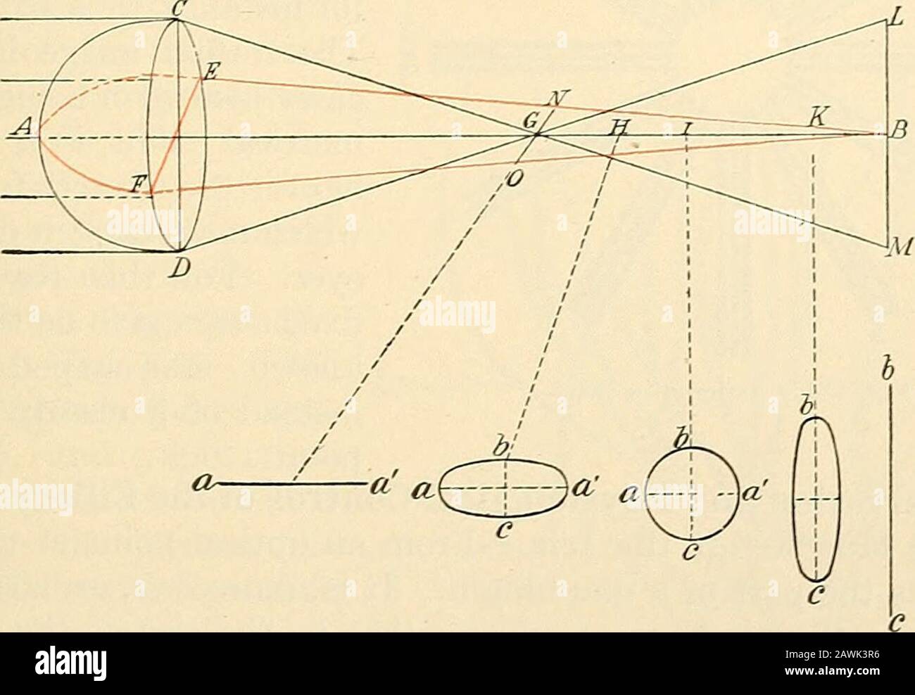 A text-book of physiology for medical students and physicians . ibuted ...