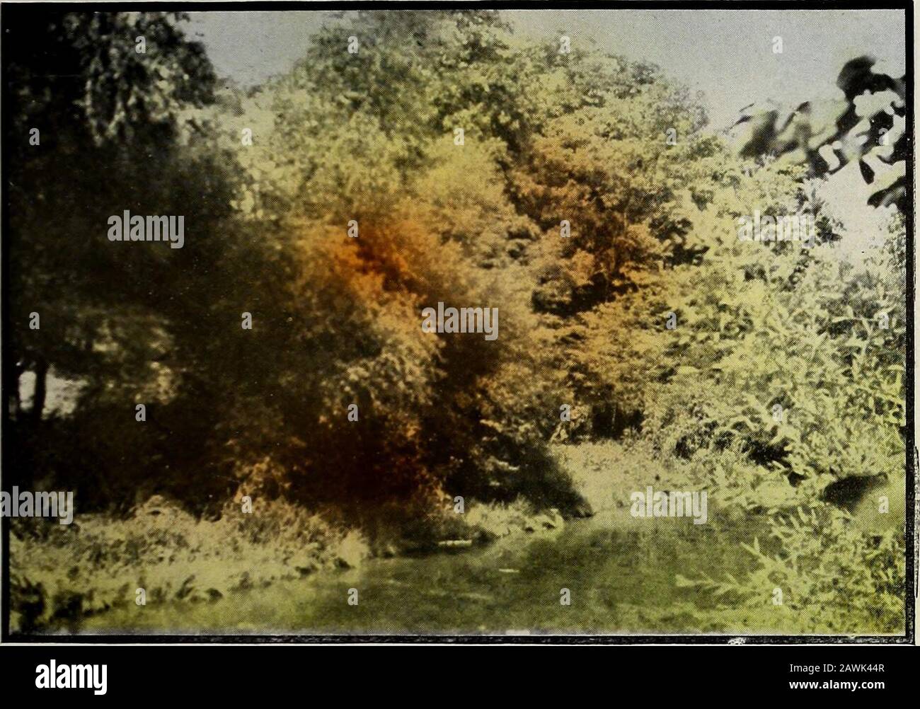 Booksubjectunivers hi-res stock photography and images - Alamy