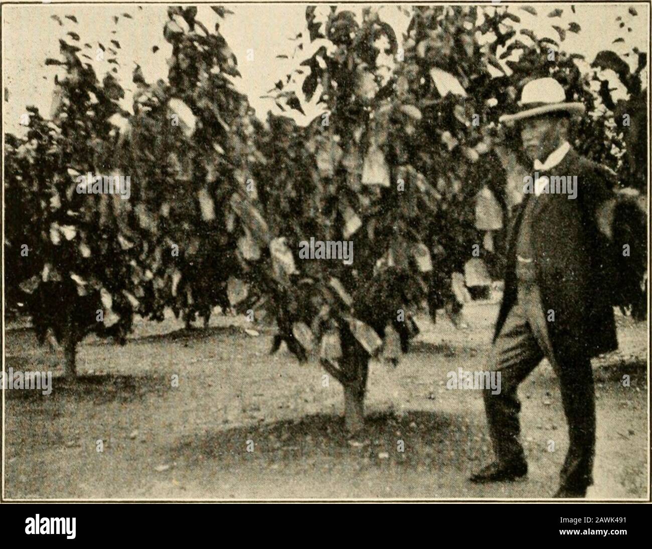 Akashi station hi-res stock photography and images - Alamy