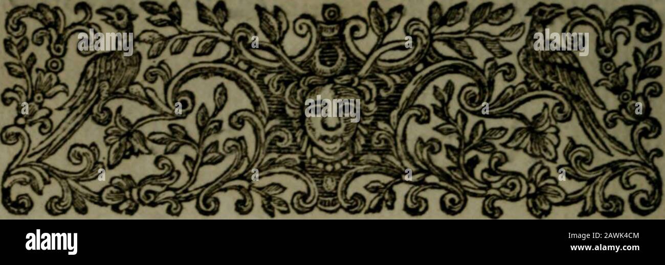 Fshj hi-res stock photography and images - Alamy