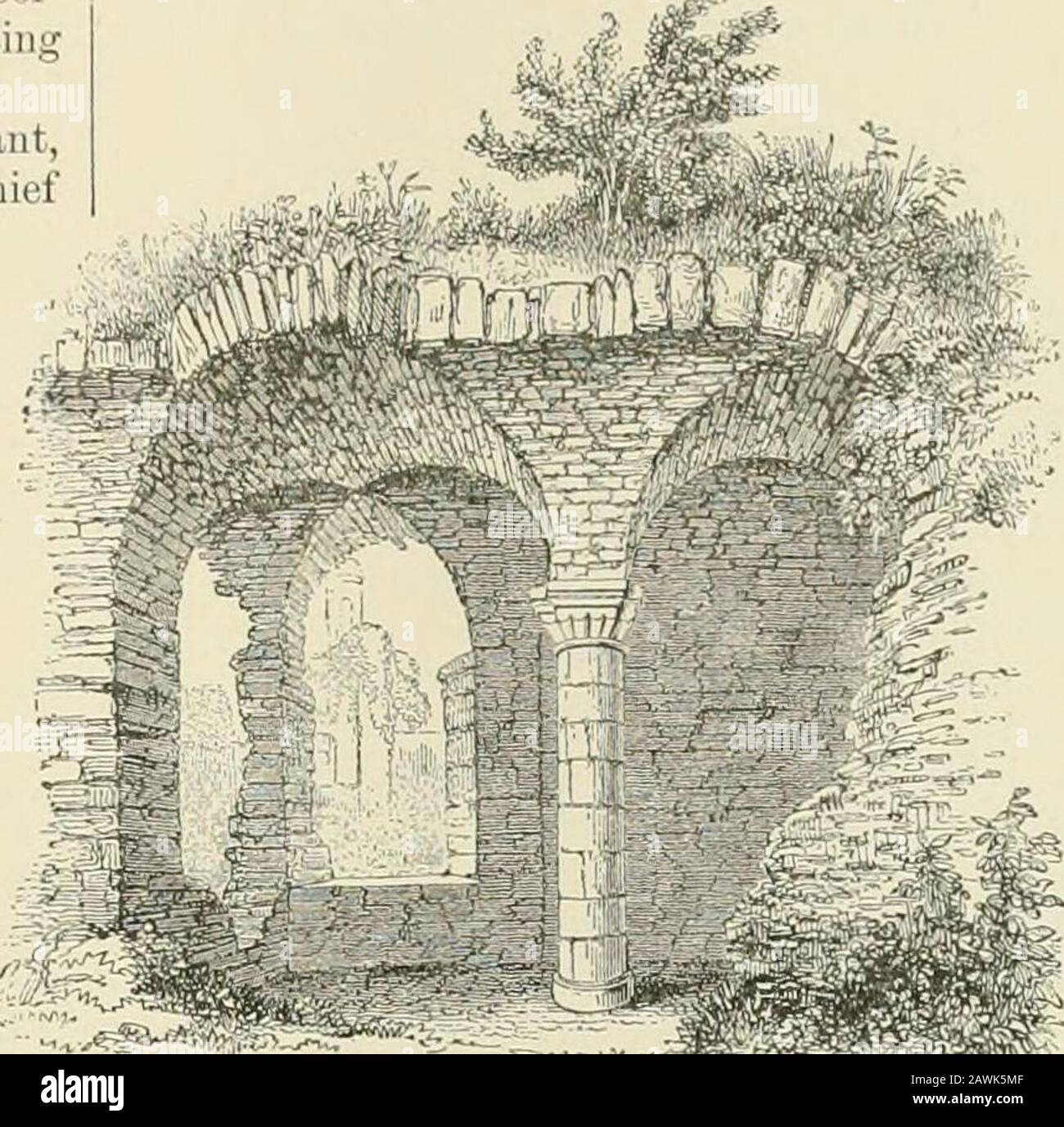 Groin vaulting hi-res stock photography and images - Alamy